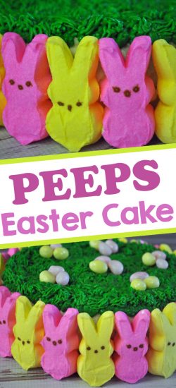 PEEPS Easter Cake - Mommy's Fabulous Finds
