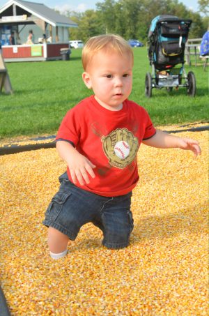The Maize At Sherman Farm - Best Corn Maze in NH